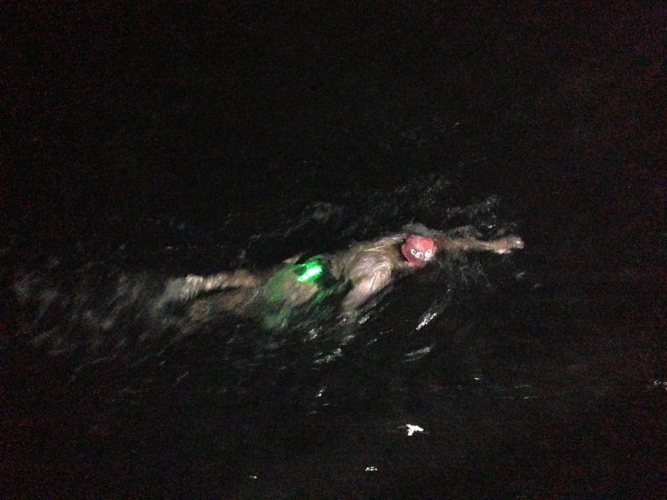 The Night Swimmers – Foxy Writer Chick